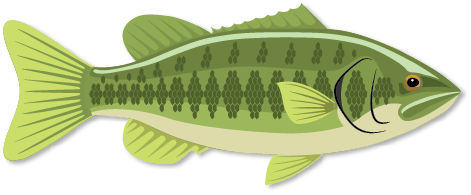 Missouri Fish - Missouri Fishing Guide
