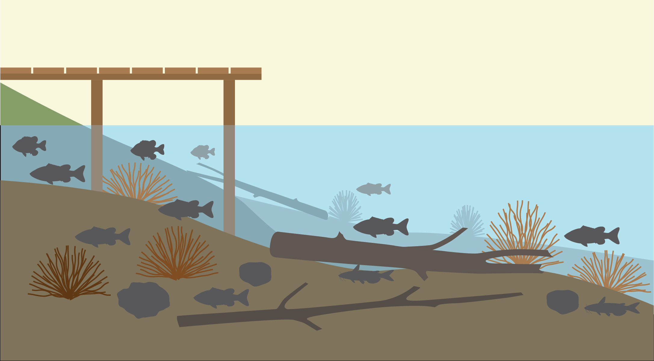Docks - Missouri Fishing Guide